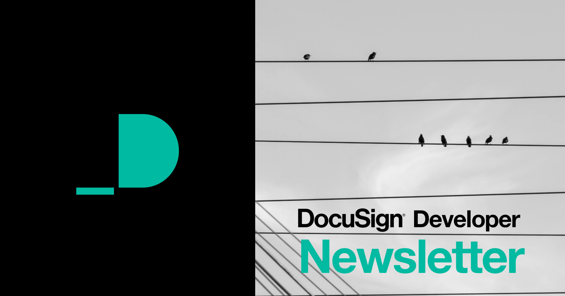 Developer Newsletter | November | 2021 | DocuSign